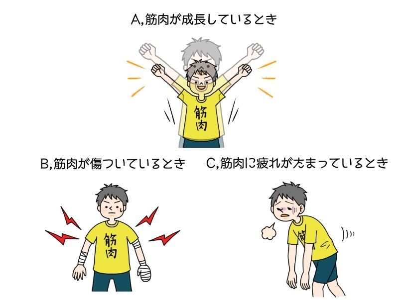 【ダイエットチョイス！】筋肉痛が起こるのはどんなとき？～EICO式ダイエットのコツ(105)～|ダイエット、フィットネス、ヘルスケアのことならFYTTE-フィッテ