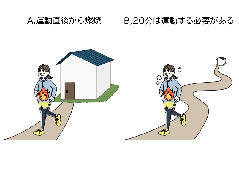 【ダイエットチョイス！】運動と脂肪燃焼効果の関係で正しいのはどれ？～EICO式ダイエットのコツ(136)～|ダイエット、フィットネス、ヘルスケアのことならFYTTE-フィッテ