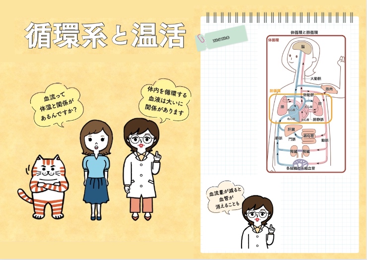 ゴースト血管に注意！ 温活で血流改善＆新陳代謝を活発にしよう【冷え知らず先生の温活講座8】|ダイエット、フィットネス、ヘルスケアのことならFYTTE-フィッテ